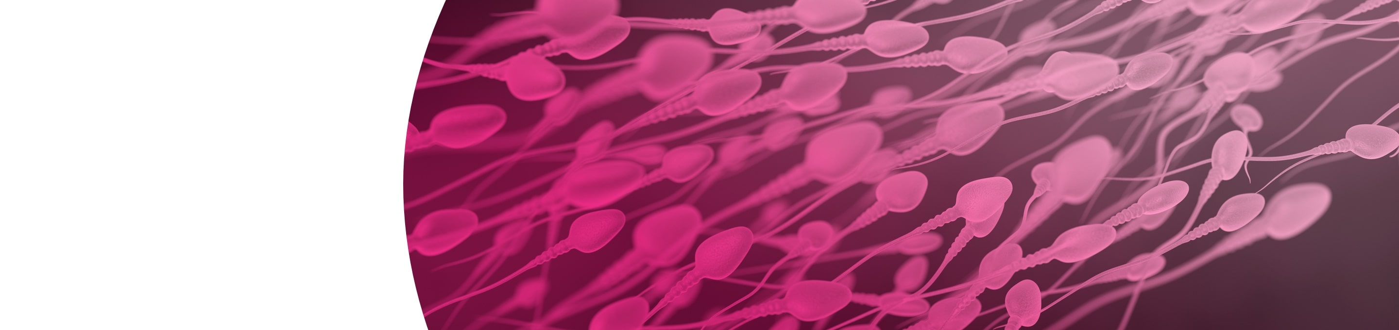 ¿Necesitas a un donante de semen? | Barcelona IVF