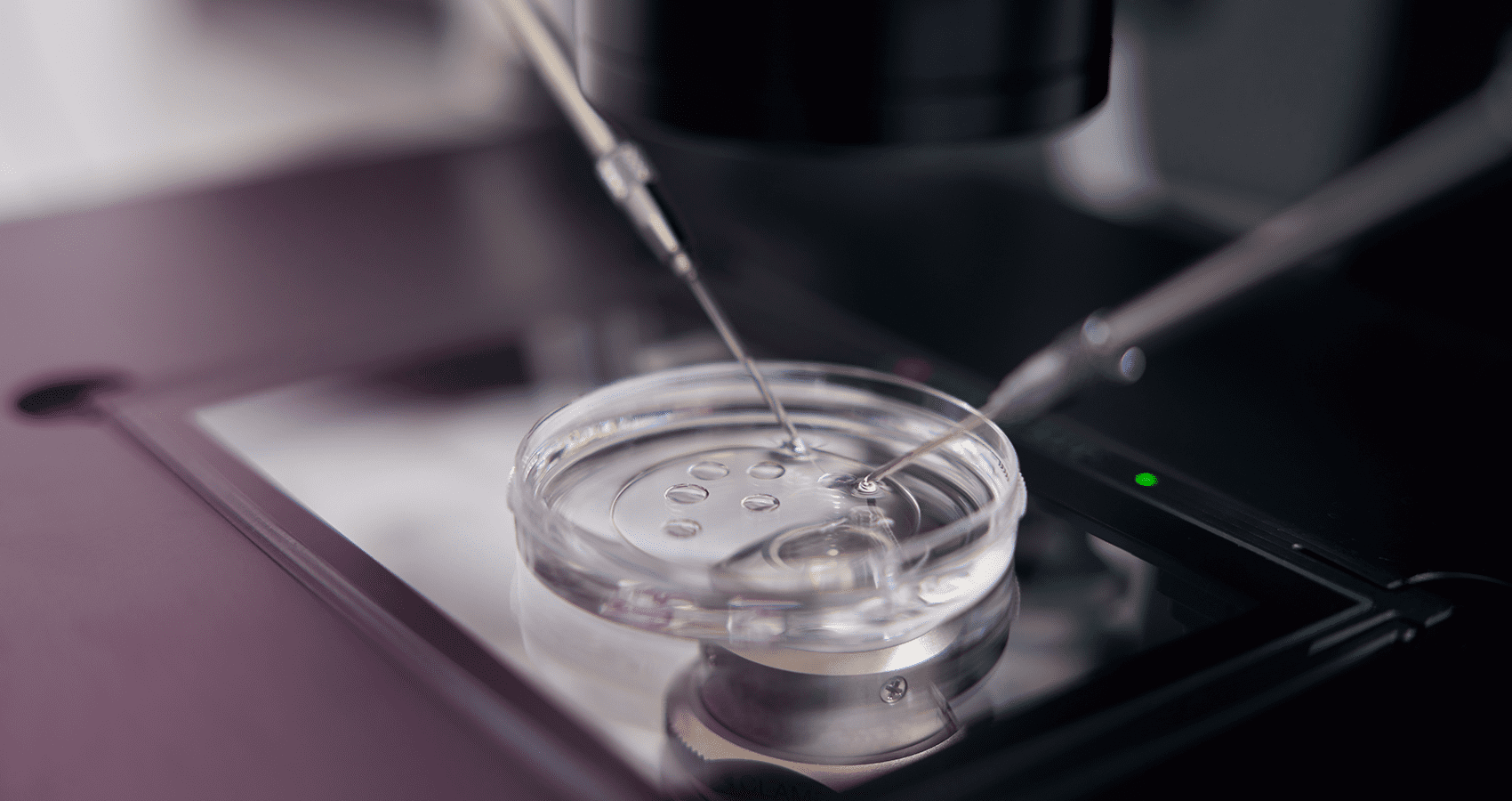 What is the Embryoscope or Time Lapse | Barcelona IVF