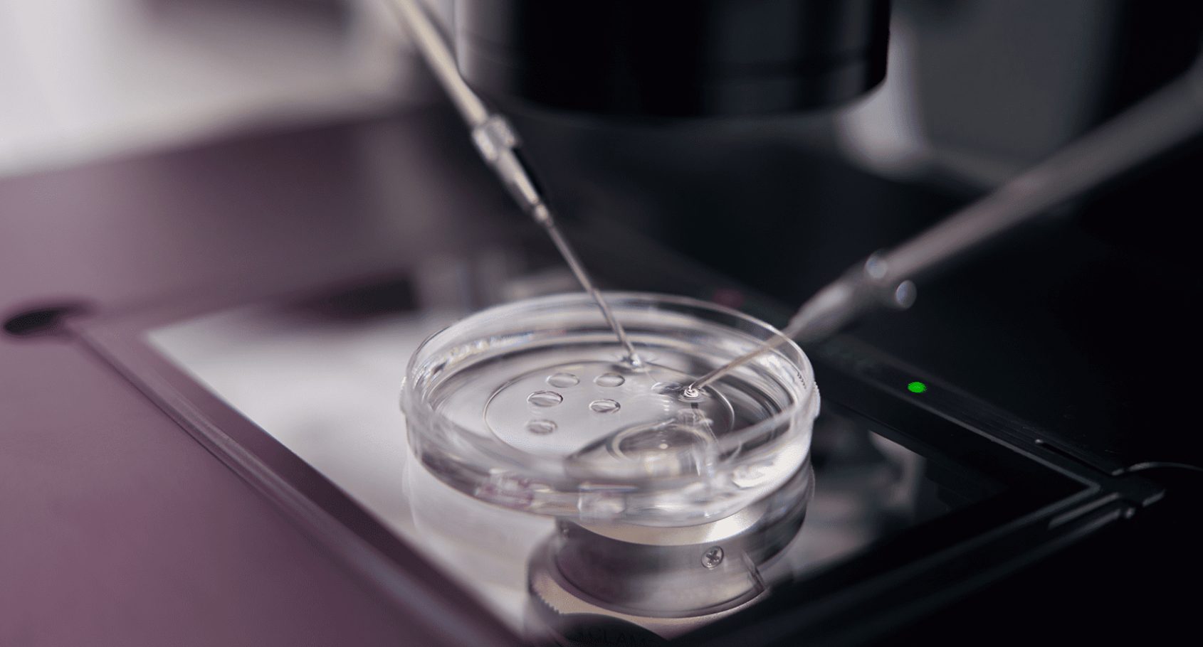 What is the Embryoscope or Time Lapse | Barcelona IVF