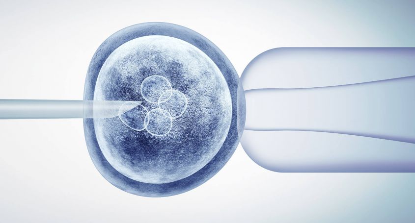 Inseminación artificial | Barcelona IVF