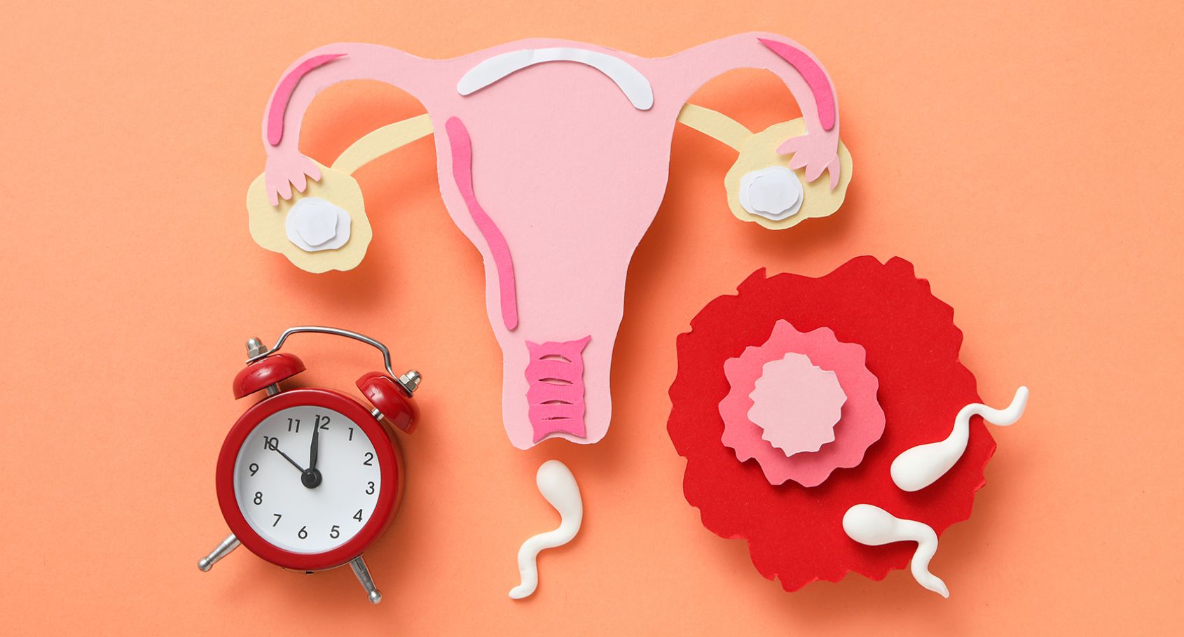 A woman's fertile days: when she ovulates and how to calculate them ...