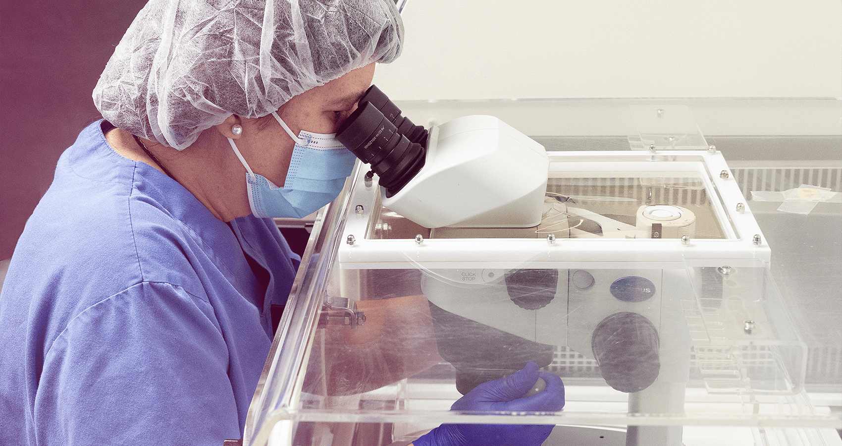 In che consiste la selezione degli embrioni con il sistema Time-Lapse ...